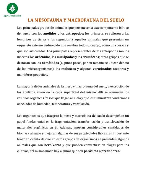 La Mesofauna y Macrofauna del Suelo | AgroJefersson | uDocz
