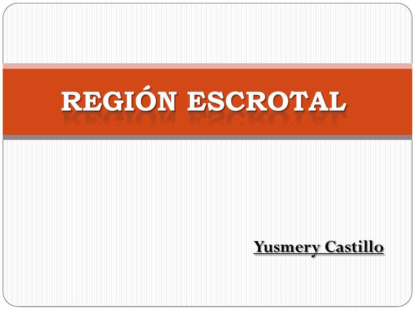 REGIÓN ESCROTAL | Yusmery Castillo | uDocz