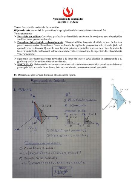 S2 Huacanca Padilla Denys Farid CS37 Apropiación d | Denys farid ...