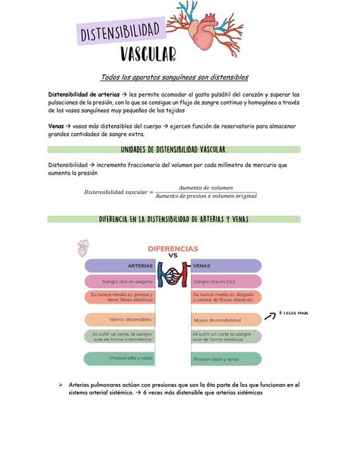 Distensibilidad vascular | Celeste Codutti | uDocz