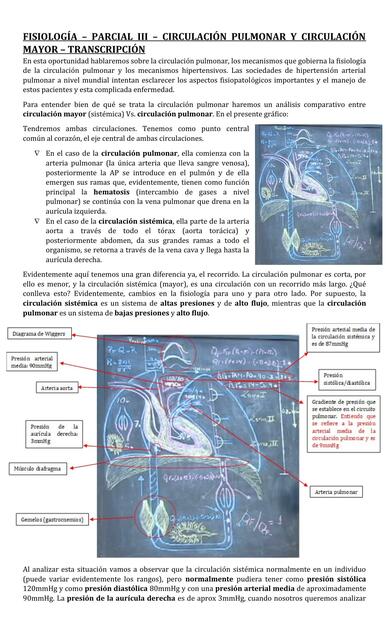 Circulación pulmonar | Celeste Codutti | uDocz