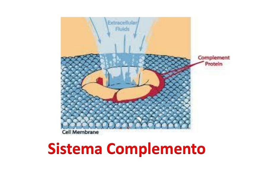 file | Luis Eduardo | uDocz