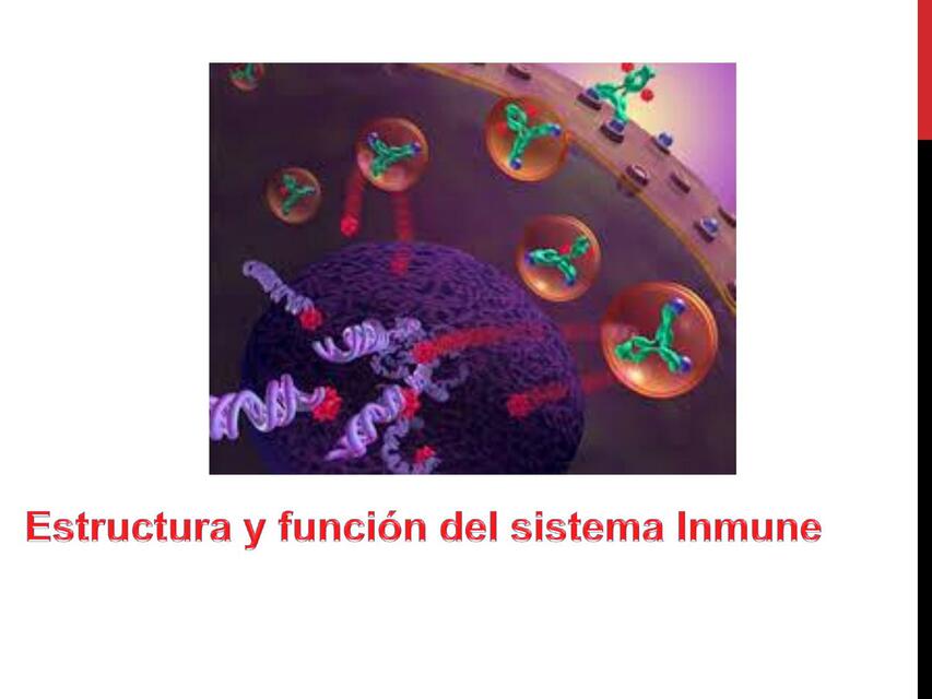 file | Luis Eduardo | uDocz