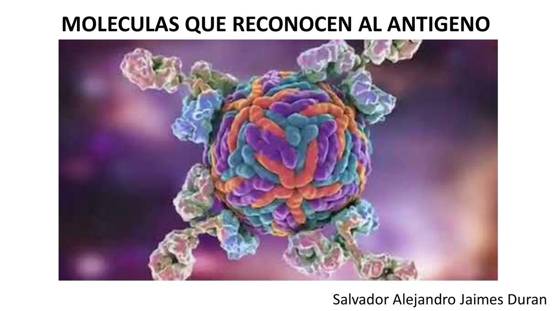 file | Luis Eduardo | uDocz