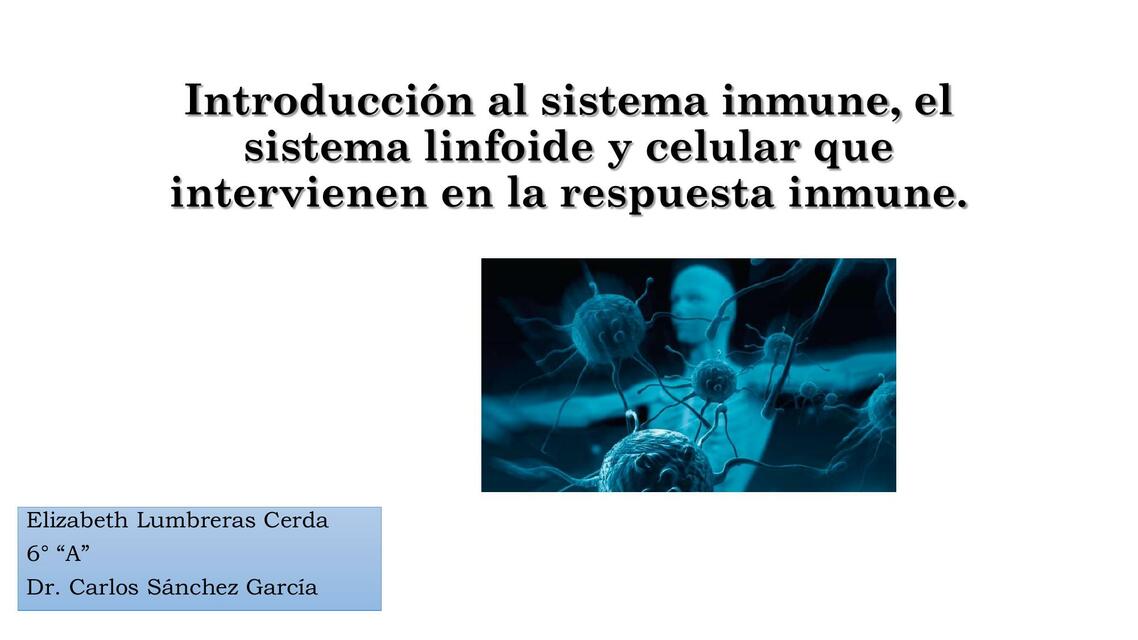 file | Luis Eduardo | uDocz