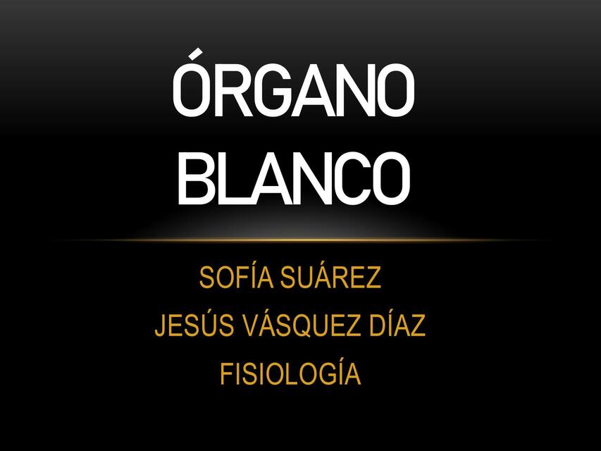 file | Luis Eduardo | uDocz