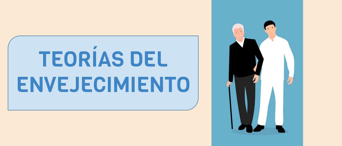 Teorías del envejecimiento | Ana Valverde | uDocz