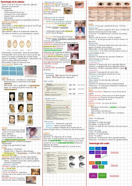 Semiología cabeza y cuello | Jazmin Cabrera | uDocz