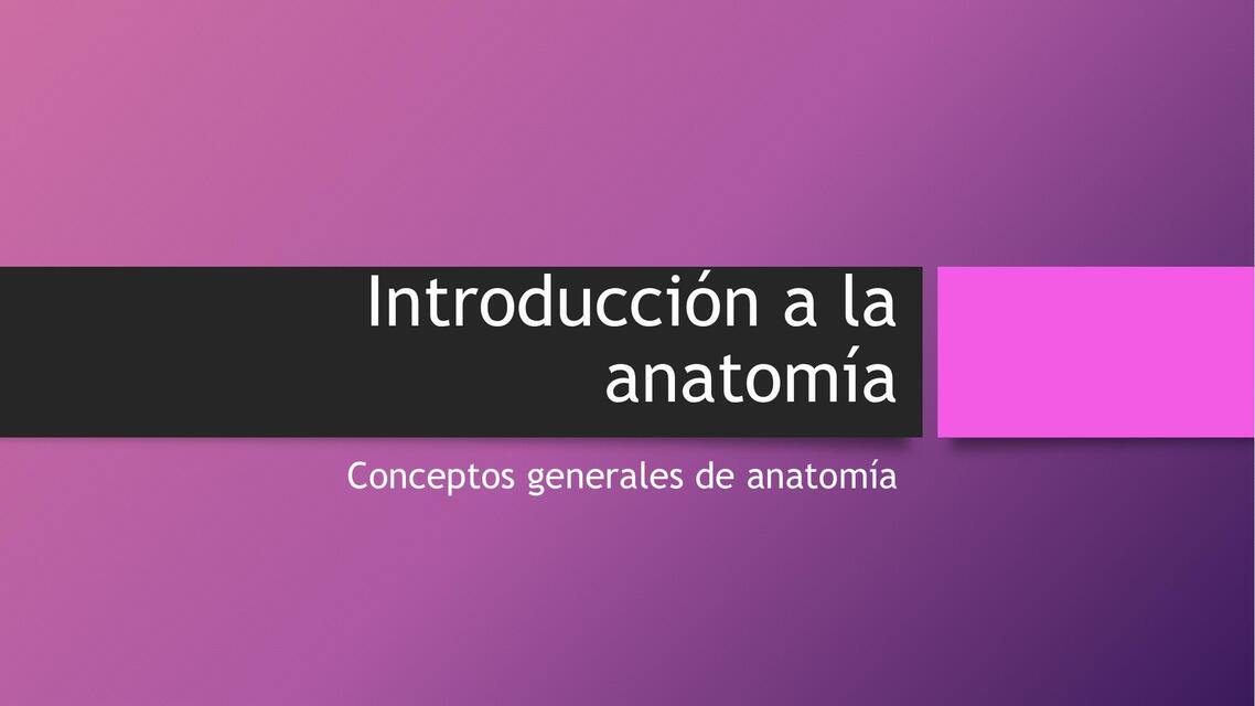 Conceptos generales de anatomia 1 | Liliana | uDocz