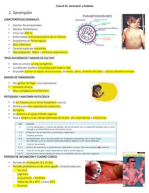 Sarampión y Rubéola | Christian Pesantez | uDocz