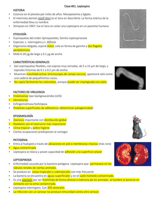 Leptospira y sus cuadros clínicos | Christian Pesantez | uDocz
