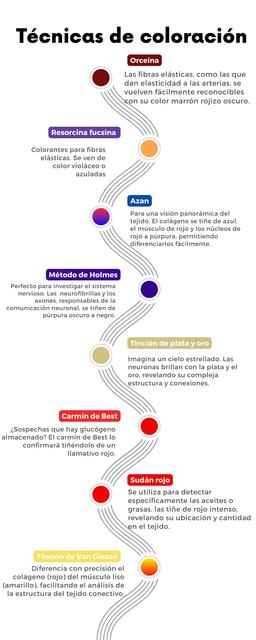 TÉCNICAS DE COLORACIÓN | Fabi Lobatico | uDocz