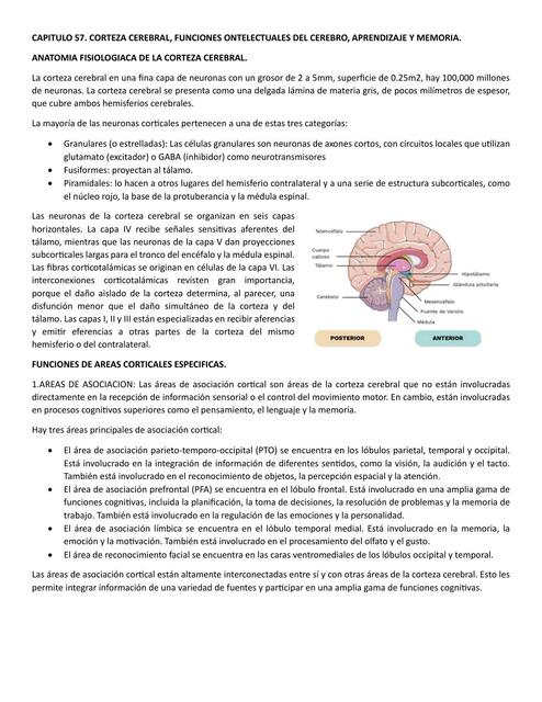 CAP 57 CORTEZA CEREBRAL | Víctor Manuel Garnica Inzunza | uDocz