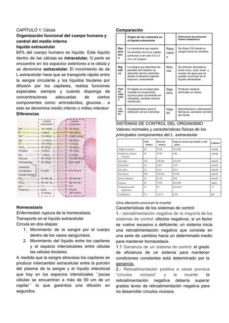 Fisiología capitulo 1-3 | Clara Viscarra | uDocz