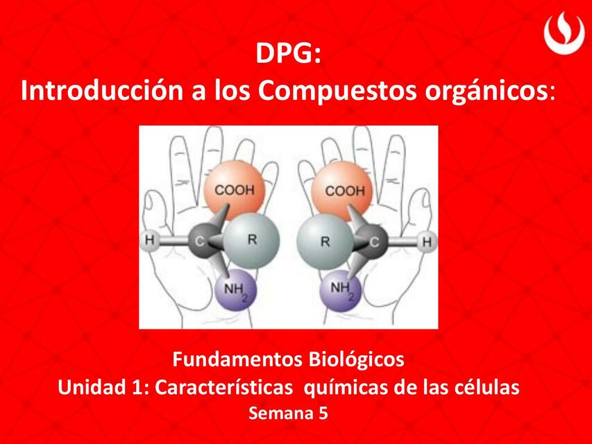 S5 DPG PPT 2 | ricardo | uDocz