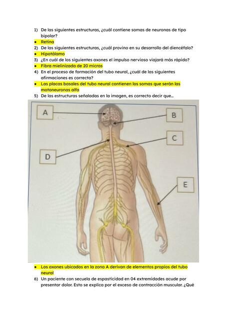 CI1 | Mafer Alvarez | uDocz
