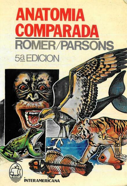 Anatomía Comparada Romer Parsons 5 Ed | Serapio | uDocz