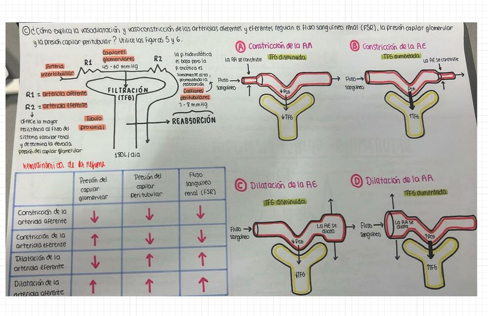 EXCRE 4 | Alexandra | uDocz