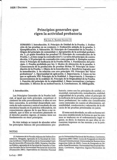 Principios generales que rigen la activida probato | Valeria W | uDocz