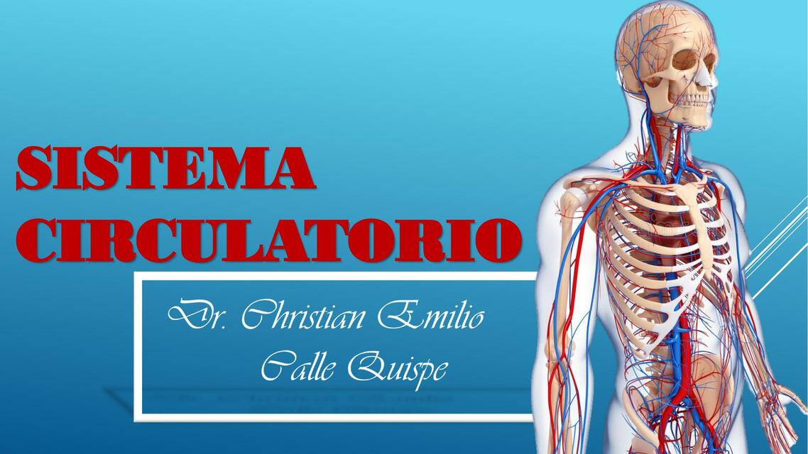 APARATO CIRCULATORIO | Christian Calle | uDocz
