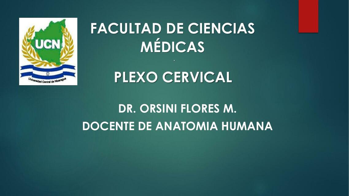 PLEXO CERVICAL | Nicole | uDocz
