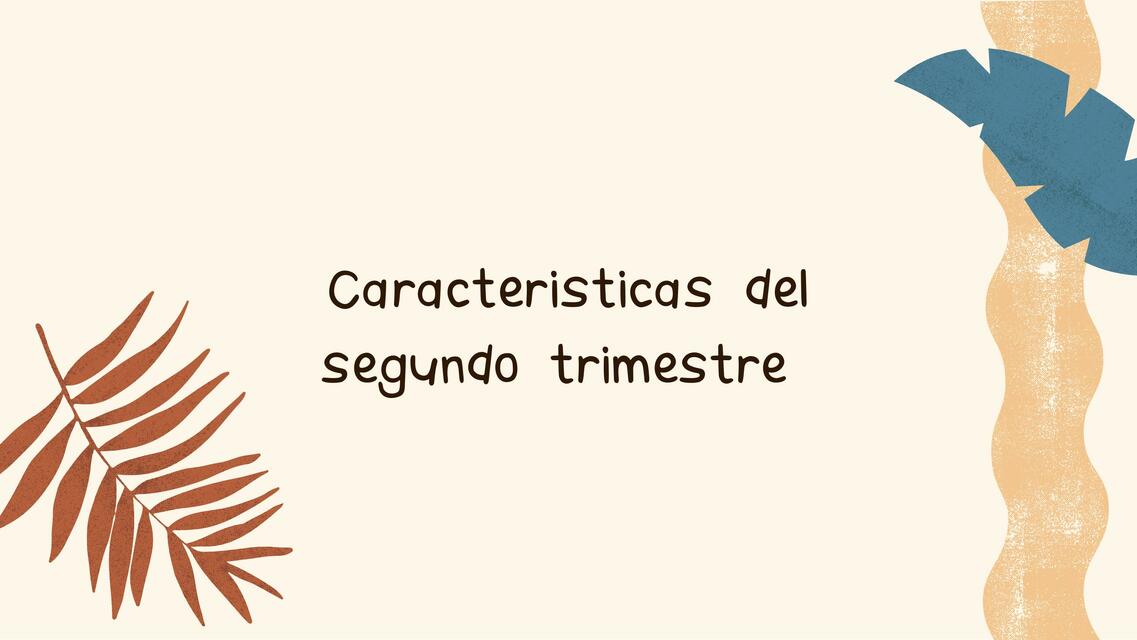 Segundo trimestre de embarazo Embriología | Estrella | uDocz