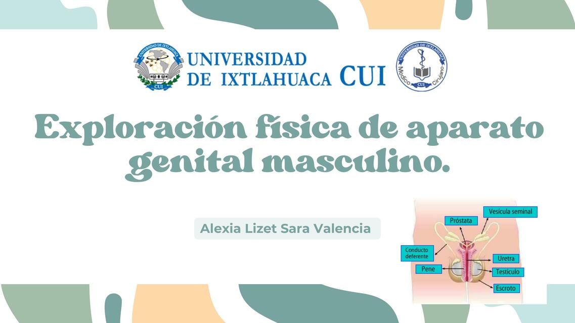 Exploración aparato genital masc | enrique alberto calixto aviles | uDocz