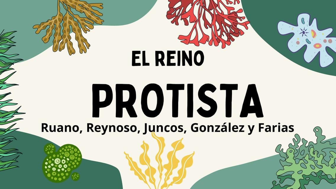 El reino protista | simon | uDocz