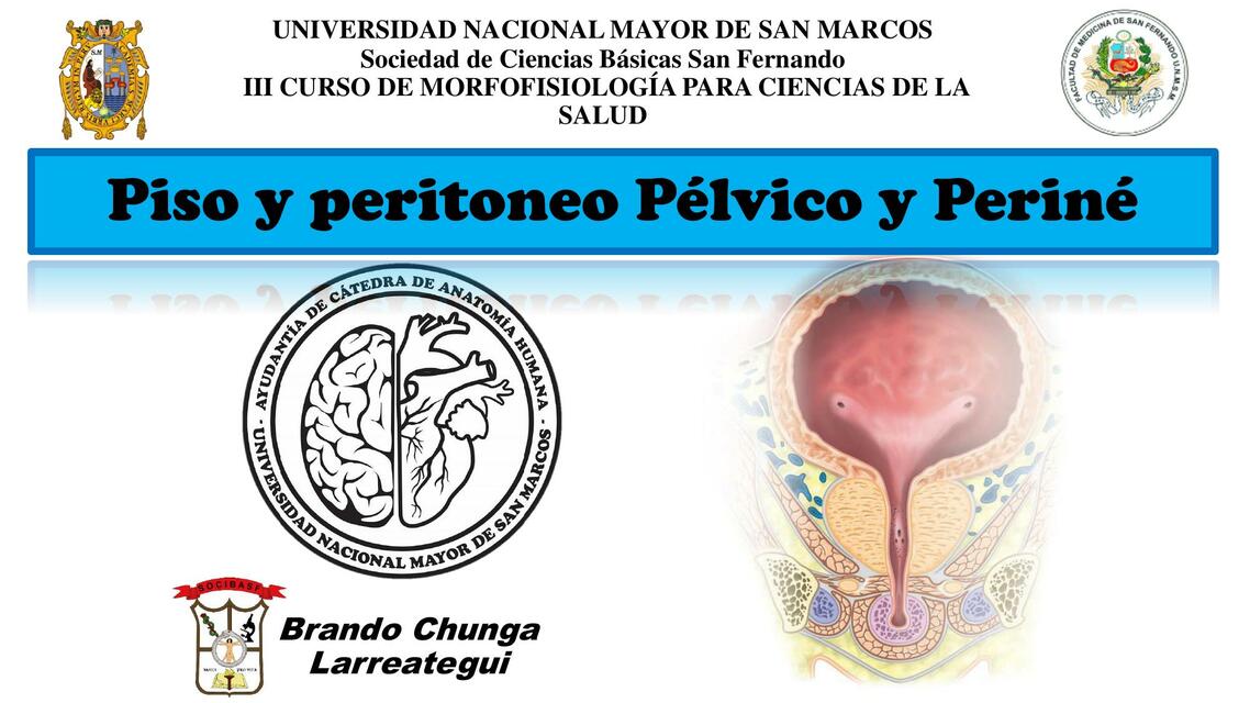 PERINÉ | Un poco de cursos | uDocz