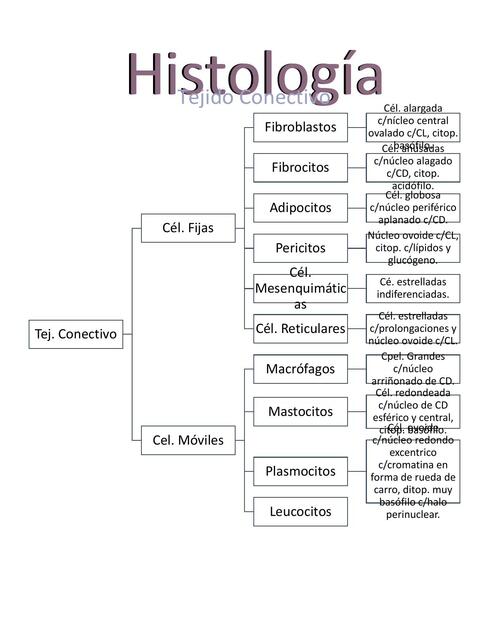 histo apunte | Dalielys Guzman | uDocz