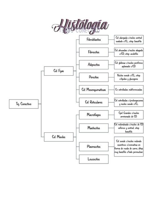 Histo 1 preparación | Dalielys Guzman | uDocz