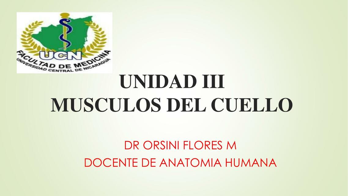 CONFERENCIA ANATOMIA MSC DEL CUELLO | Nicole | uDocz