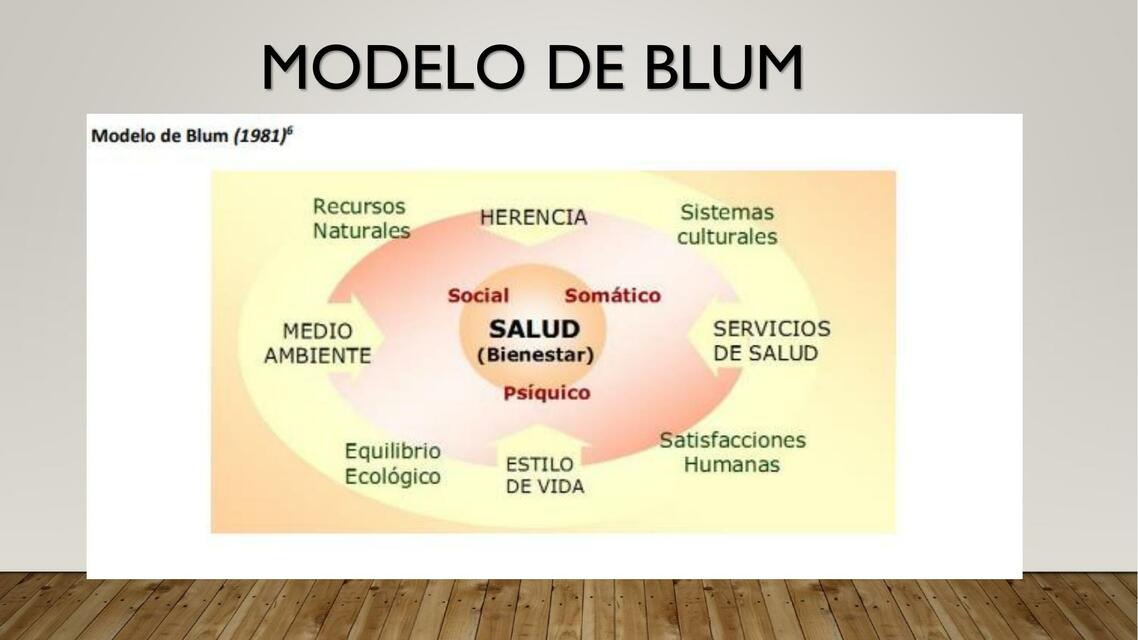 MODELO DE BLUM | Melanie | uDocz