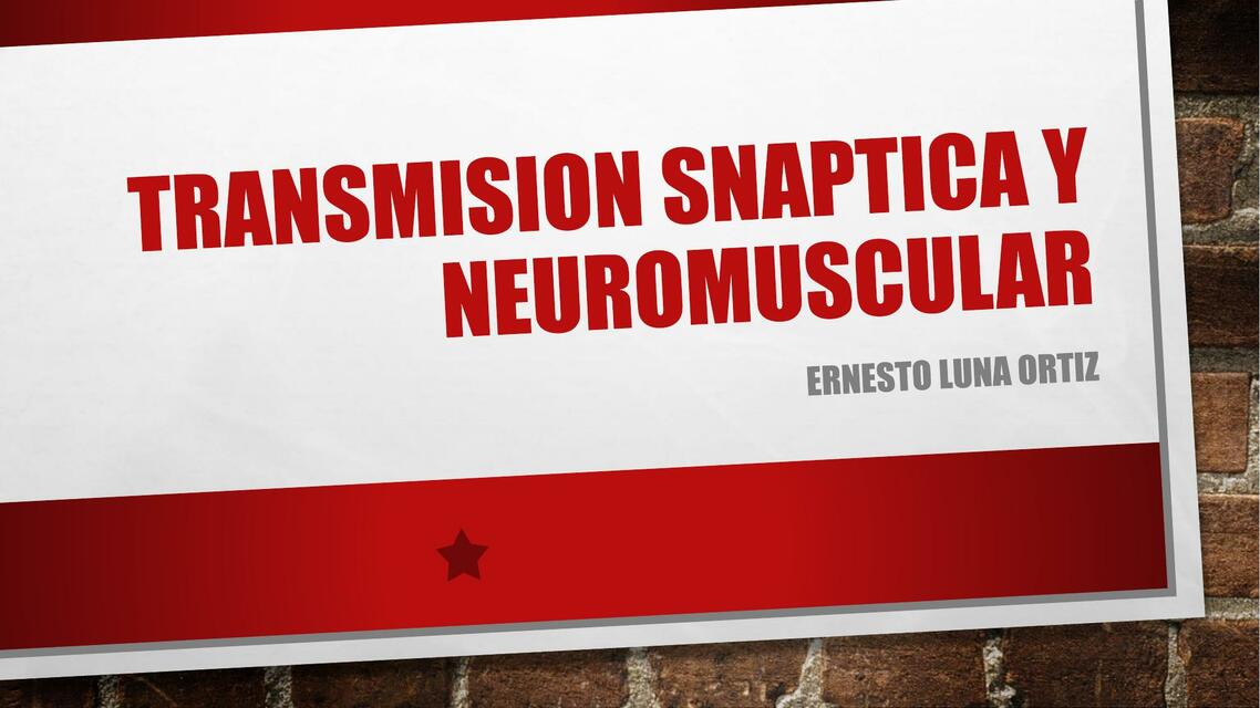 TRANSMISION SINAPTICA Y NEUROMUSCULAR | Un poco de cursos | uDocz