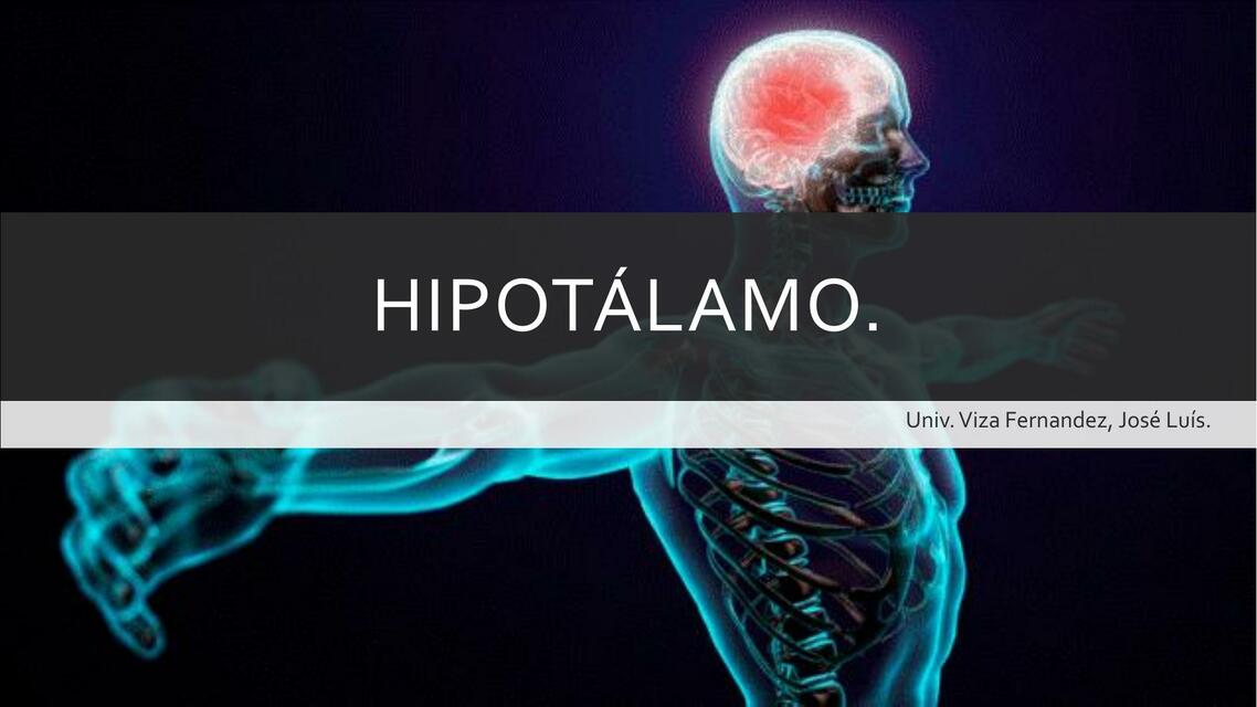 Hipotálamo | Un poco de cursos | uDocz