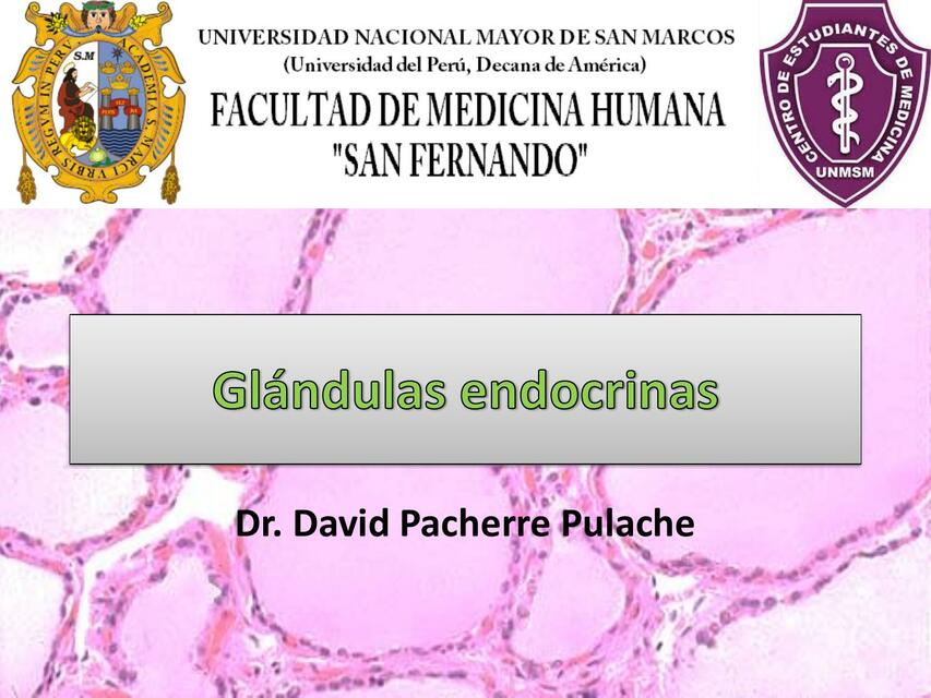 GLANDULAS ENDOCRINAS | Un poco de cursos | uDocz