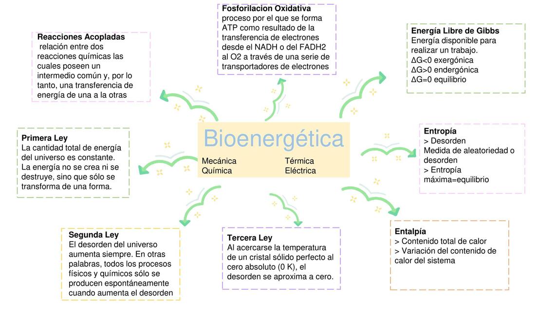 bioenergetica mapa mental | Jennifer Diaz | uDocz