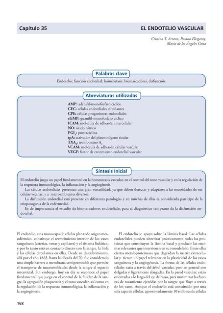 EL ENDOTELIO VASCULAR | Mariaana Zeledon | uDocz