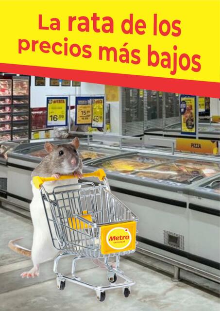 revista examen final pdf | Anahi | uDocz