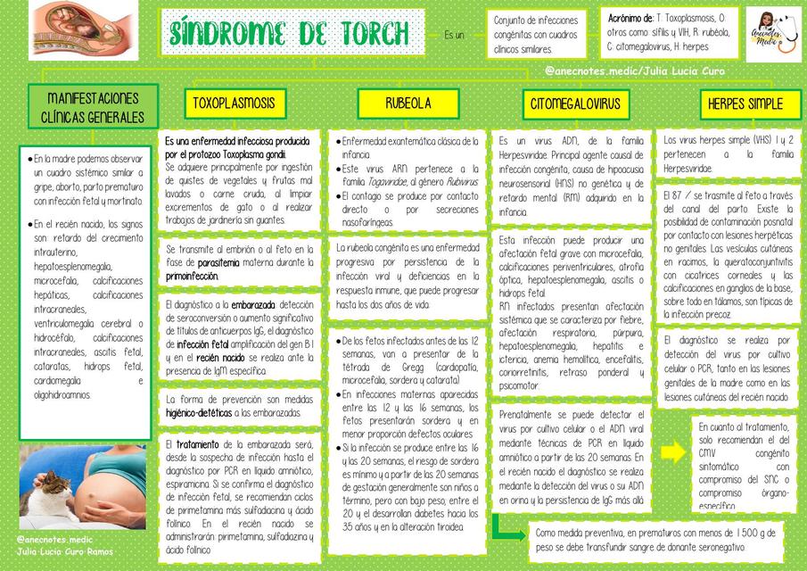 SINDROME DE TORCH MAPA Julia Curo | Julia Lucia Curo Ramos (anecnotes ... SINDROME DE TORCH MAPA Julia Curo | Julia Lucia Curo Ramos (anecnotes ...