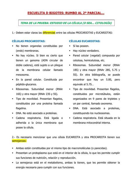 Flashcards de ESCUELITA 2 | Por Julio | uDocz