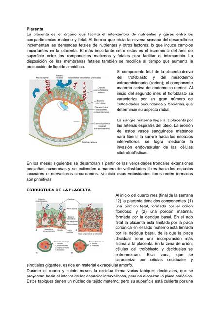 Embrio | Julieta Sánchez | uDocz