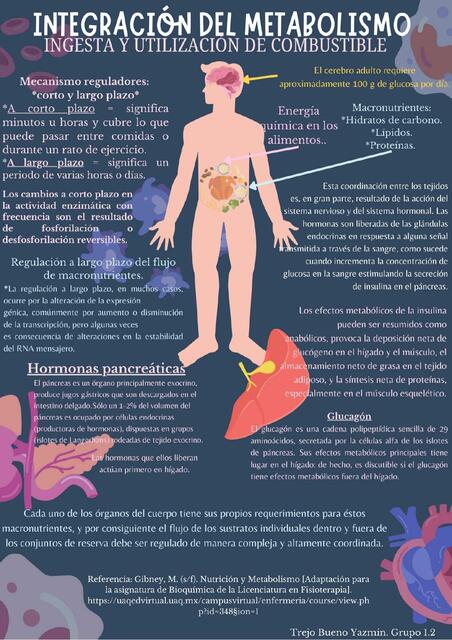 Integración del metabolismo | Yazmin | uDocz