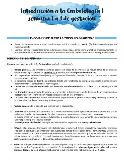 Resumen Histo Final | REINA MARISOL | uDocz