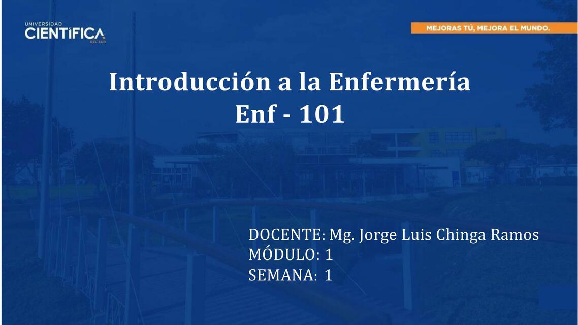 PPT INTRODUCCION A LA ENFERMERIA SEM 01 SESION 01 | Pocajontas | uDocz
