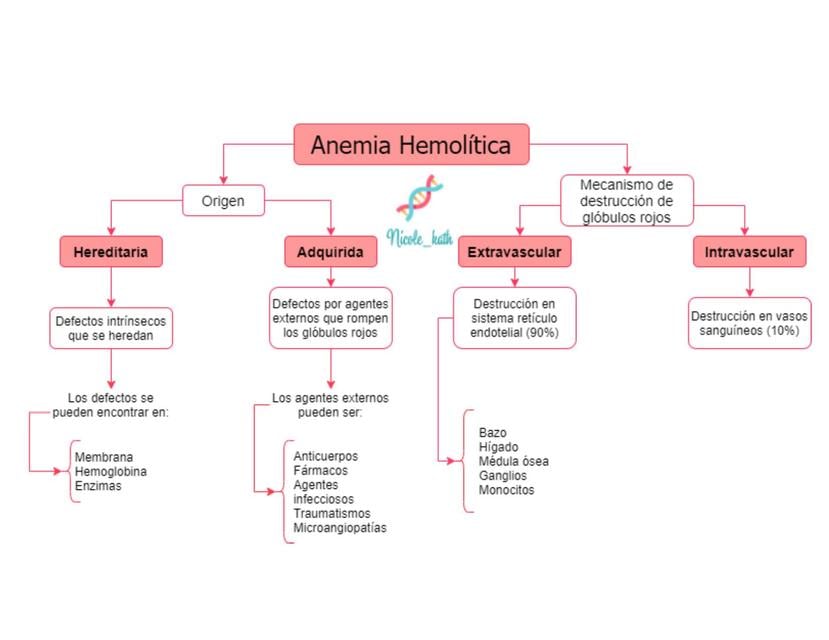 Anemias Hemolíticas | Katherine Méndez | uDocz