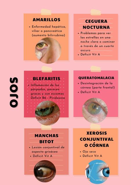 SIGNOS CLÍNICOS | Rebeca | uDocz