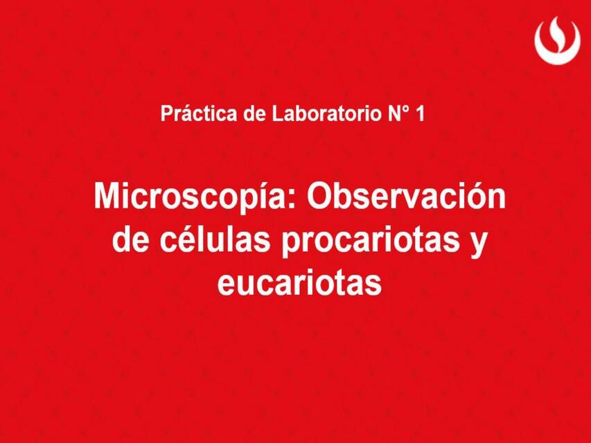 ME206 Lab01 | Angie Solorzano | uDocz