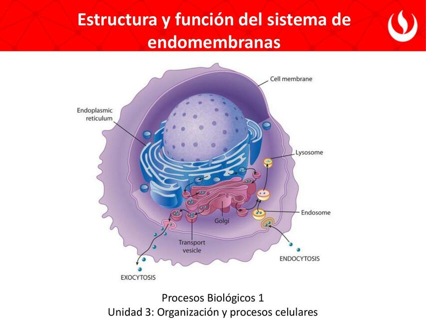 PPT TE03 Sem102. | Angie Solorzano | uDocz