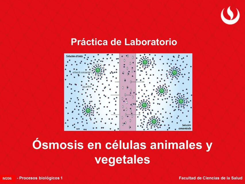 ME206 Lab092 | Dioggo | uDocz
